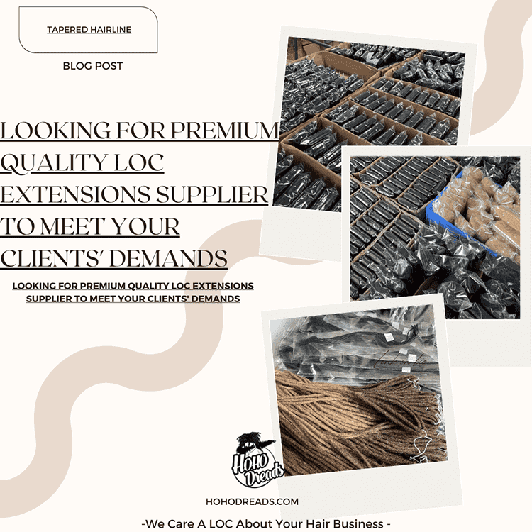 Understanding Two Strand Twists And Coils For Starting Locs | Hohodreads